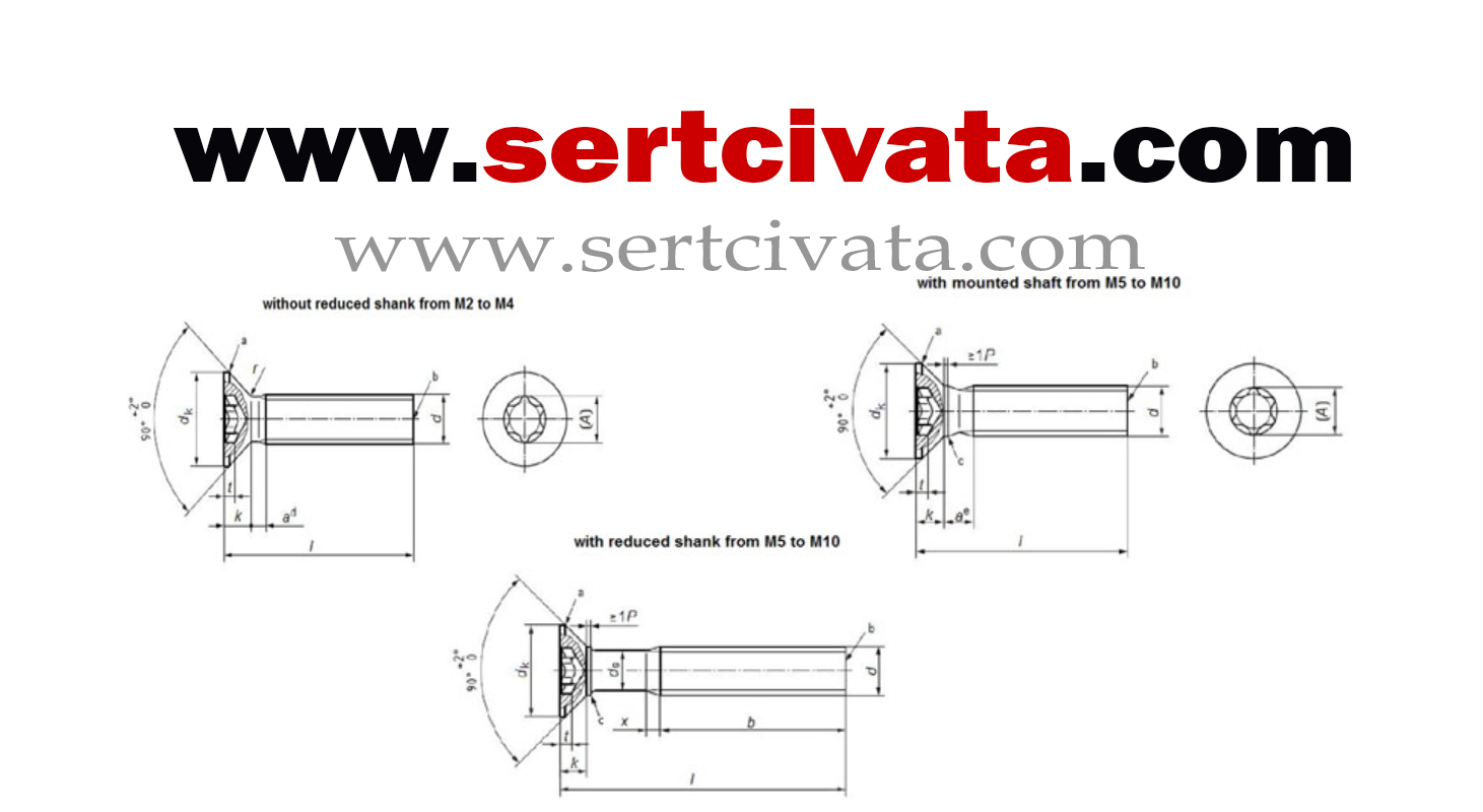 ISO 14581 TX Torks Havşa Başlı İmbus - Sert Civata